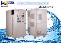 China 110V Water Purifier Industrial Ozone Generator 10g - 200g With Oxygen Concentrator for sale