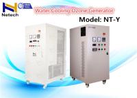 China 110V Water Purifier Industrial Ozone Generator 10g - 200g With Oxygen Concentrator for sale
