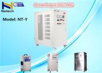 China 110V Water Purifier Industrial Ozone Generator 10g - 200g With Oxygen Concentrator for sale