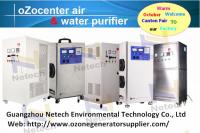 China 4mg/l - 15mg/l Ozone Generator Water Purification For Winery Floor Cleaning for sale