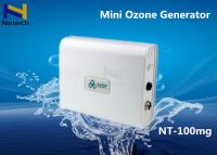 China 100Mg Small Ozone Generator Machine For Food / Fruit Treatment clean for sale