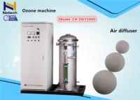 China 1000g Industrial Ozonizer For Decolorizing Paper Wastewater , Water Ozonator for sale