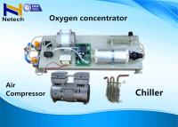 China 3l 5l 8l Oxygen Concentrator Parts With Air Compressor , Chiller For O3 Machine for sale
