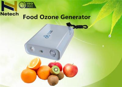 China Multifunctional Food Odor Free Ozone Generator 100mg Home Freezer Sterilizing Ozonator for sale