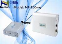 China Multifunctional Food Odor Free Ozone Generator 100mg Home Freezer Sterilizing Ozonator for sale