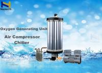 China 15 lpm Oxygen Concentrator Parts With Air Compressor Chiller For Ozone Machine for sale