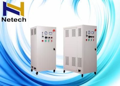 China clean cleanion O3 Ozone Generator For Tap Water / Drinking Water 50G for sale