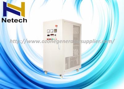 China 50g O2 Fed Industrial Ozone Generator For Food Plant cleanr And cleanion for sale