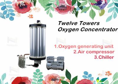 China Twelve Towers PSA Oxygen Concentrator Parts Gas Equipments Type Repair 3 - 15L for sale