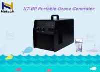 China 3G - 7G Household Portable Ozone Water Purifier Corona Discharge 220V / 50HZ for sale