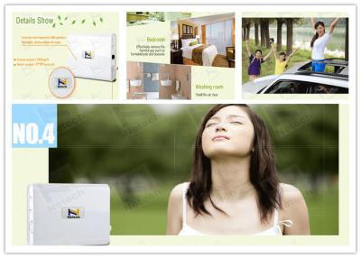 China 100mg Negative Ions Car Toilet Fresh Air Purifier 50HZ 220V Ozone Ionizer Cleaner for sale