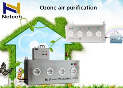 China 6G 12G Wall Hanging Commercial Indoor Ozone Air Purification Systems Ozonizer for sale