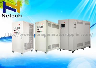 China 60g 80g 100g Oxygen Feed Ozone Generator Water Purification For Bottled Water Plant for sale
