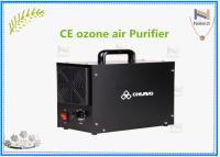 China 110V Home Mini Ozone Generator O3 Air Purifier Deodorizer 3g 5g Aircleaner for sale