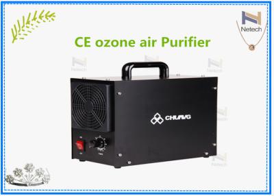 China 110V Home Mini Ozone Generator O3 Air Purifier Deodorizer 3g 5g Aircleaner for sale