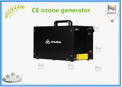 China Easy Operate Water Ozone Generator 110V 220V Output 3000mg 5000mg Air Purifier CE for sale