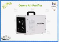 China Commercial Automotive Ozone Generator 110V 3000mg 5000mg Air Purifier Mold Mildew Odor for sale