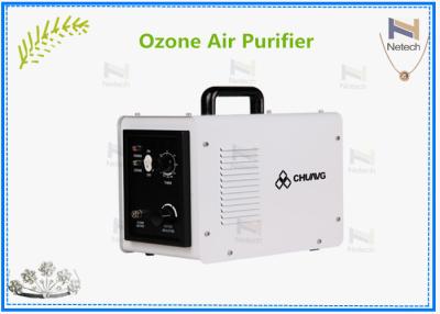 China Commercial Automotive Ozone Generator 110V 3000mg 5000mg Air Purifier Mold Mildew Odor for sale