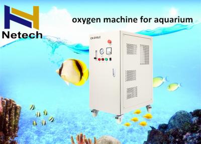 China Aquaculture 20 LPM Fishing Oxygen Generator With Stable Ozone Generator for sale