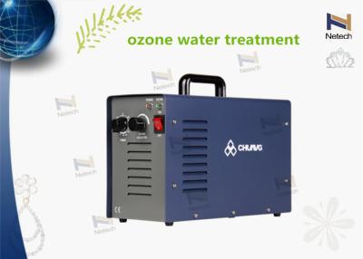 China Commercial Ozone Generator 110V 3g 5g 6g 7g For Air water Purifier with CE for sale