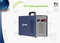 China Commercial Portable Ozone Generator For Home Hotel Factory Water Air Purifier for sale