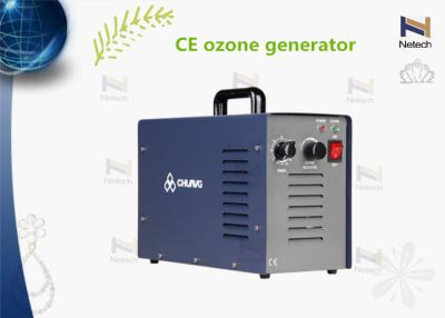 China Commercial Portable Ozone Generator For Home Hotel Factory Water Air Purifier for sale