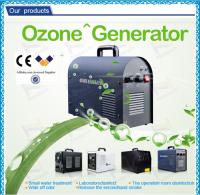 China Air Cooling 110V 220V Car Ozone Odor Remove,  Car Air Purifier for sale