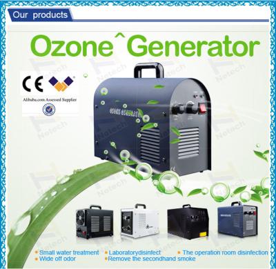 China Corona Discharge 5g Household Ozone Generator for air purify 60 / 50HZ for sale
