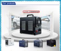 China High Purity Household Room Ozone Generator For Cleaning Vegetables for sale