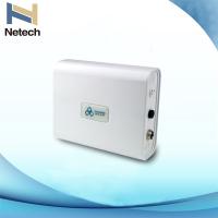 China 100mg Mini Portable Commercial Ozone Generator For women Skin care and facial for sale