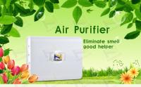 China 100mg Mini Portable Commercial Ozone Generator For women Skin care and facial for sale