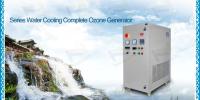 China 40g 50g Large Corona Discharge Ozone Machine Water Cooling With Enamel tube for sale