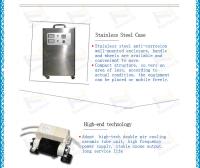 China High purity 10g Water Treatment Ozone Generator Ceramic For Aquaculture for sale