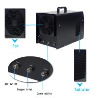 China Oxygen Source 110V Ozone Generator For Food clean 3g/h - 7g/h for sale