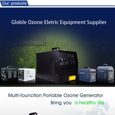 China Small 3g/h - 7g/h Food Ozone Generator 110V or 220V For clean for sale