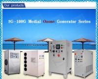 China High concentration Fruits cleaning ozone generator 20 G / Hr with ORP for aquaculture 220V for sale