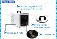 China Fresh Sea Food clean Portable Ozone Machine Corona With Ceramic Tube for sale