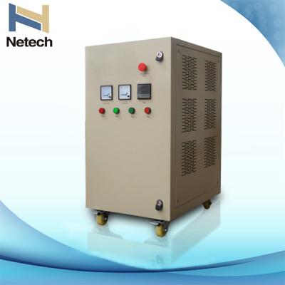 China Ceramic tube swimming pool ozone generator ozonator 10g for industrial polluted water for sale
