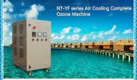China Ceramic tube swimming pool ozone generator ozonator 10g for industrial polluted water for sale