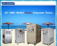 China Ceramic tube swimming pool ozone generator ozonator 10g for industrial polluted water for sale
