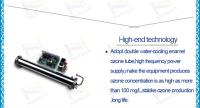 China Enamel Tube Odor Free Ozone Generator Corona Discharge For Fresh Vegetable With ORP for sale