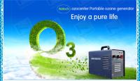 China 220V hotel odor free ozone generator smoke removal for air purifier supermarket for sale