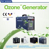 China Air Cooling Clean Air Commercial Ozone Machine Corona Discharge For Space cleanion for sale