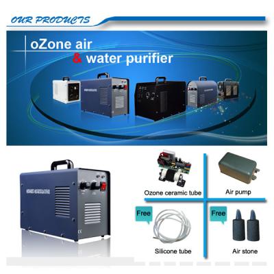 China 3g/h Mini Household Food Preserve Ozonator Portable and Handy Ozone Machine for sale