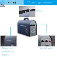 China Low Working Noice Household Ozone Generator Ozone Machine For Air Purify for sale