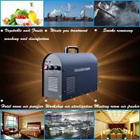 China Corona Discharge Household Ozone Generator for space air 110v 60hz high efficiency for sale