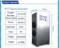 China Domestic Industrial Ozone Machine Portable Keep Fruits And Vegetables Fresh for sale