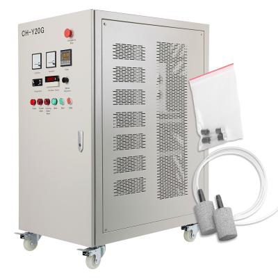 China Good quality home generator fish farm parts cleaning fruist molecular sieves tower machine 100G fast diffusion spray o3 for sale