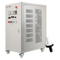 China New product 50g with fan 110v transformer ferrite core power supply ozone generator for water and air for sale