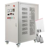 China New product 50g with fan 110v transformer ferrite core power supply ozone generator for water and air for sale
